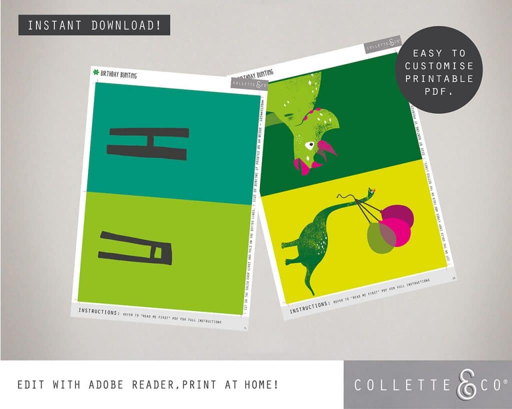 Printable Girl Dinosaur Pink Party Birthday Bunting - Editable ...